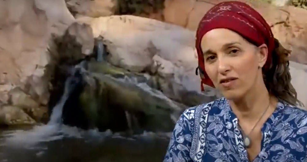 Harvesting the Jewels and Hidden Treasures of Israel ...